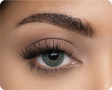 Isee color – Un site utilisant Isee color