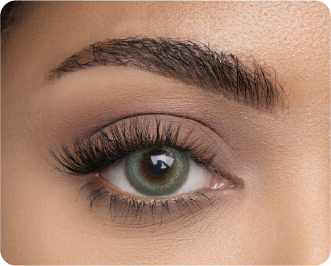 Isee color – Un site utilisant Isee color